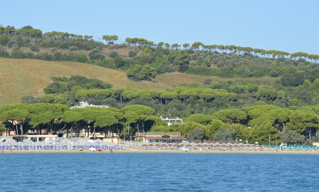 Cento anni di pineta a Pineto: servono cittadini consapevoli per essere ...