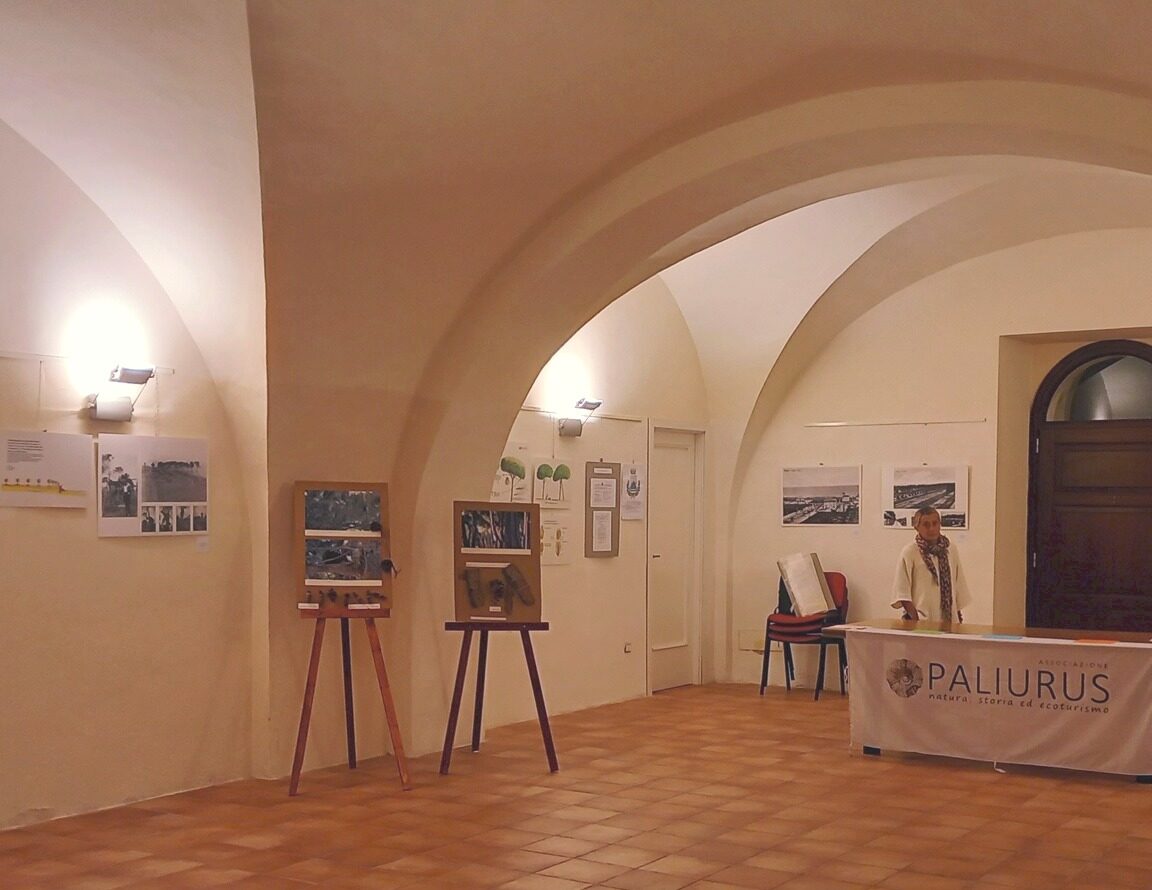 Pineto Città Verde: la mostra sui 100 anni della pineta apre agli ...