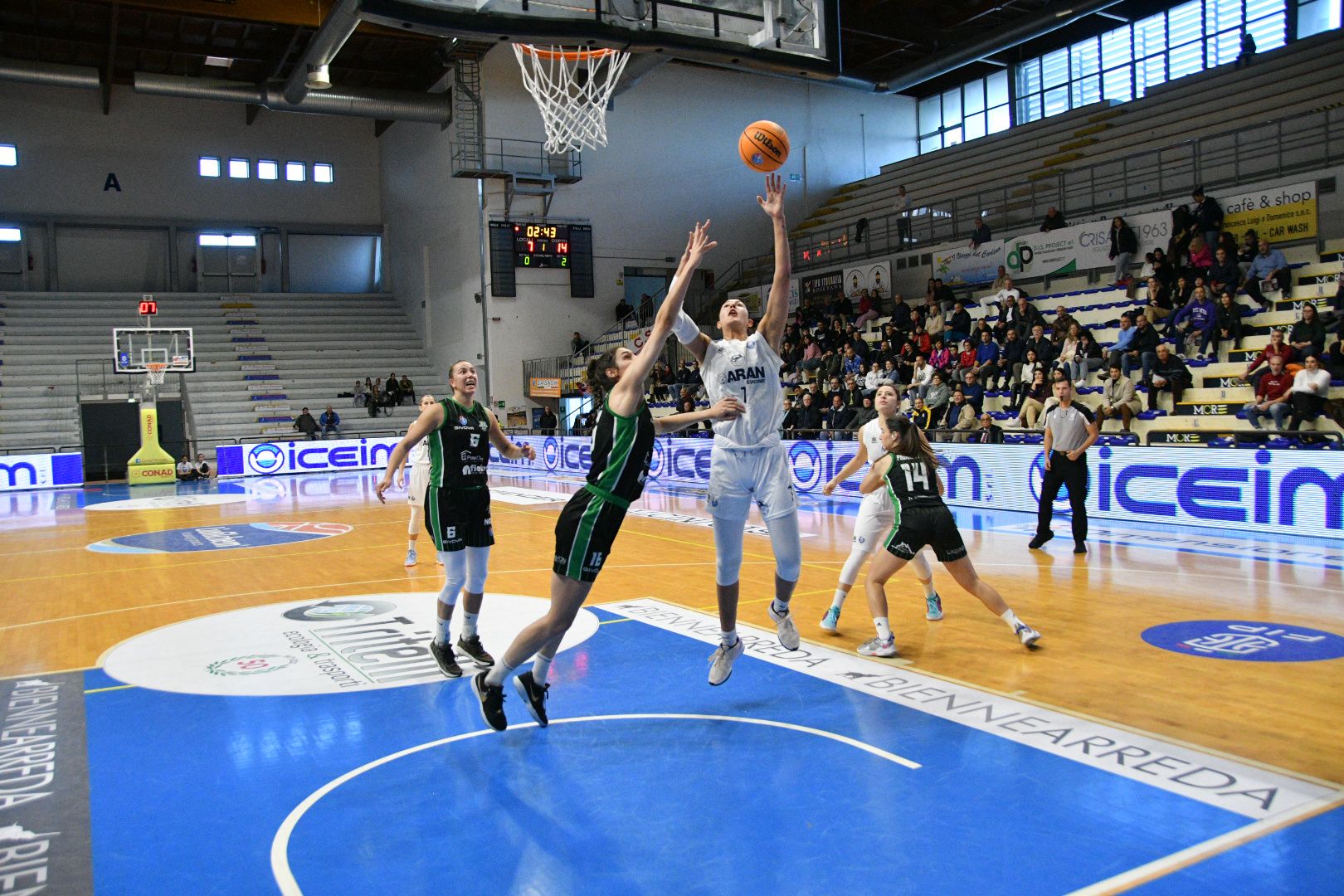 Basket, volano le Panthers Roseto: primato solitario e qualificazione ...