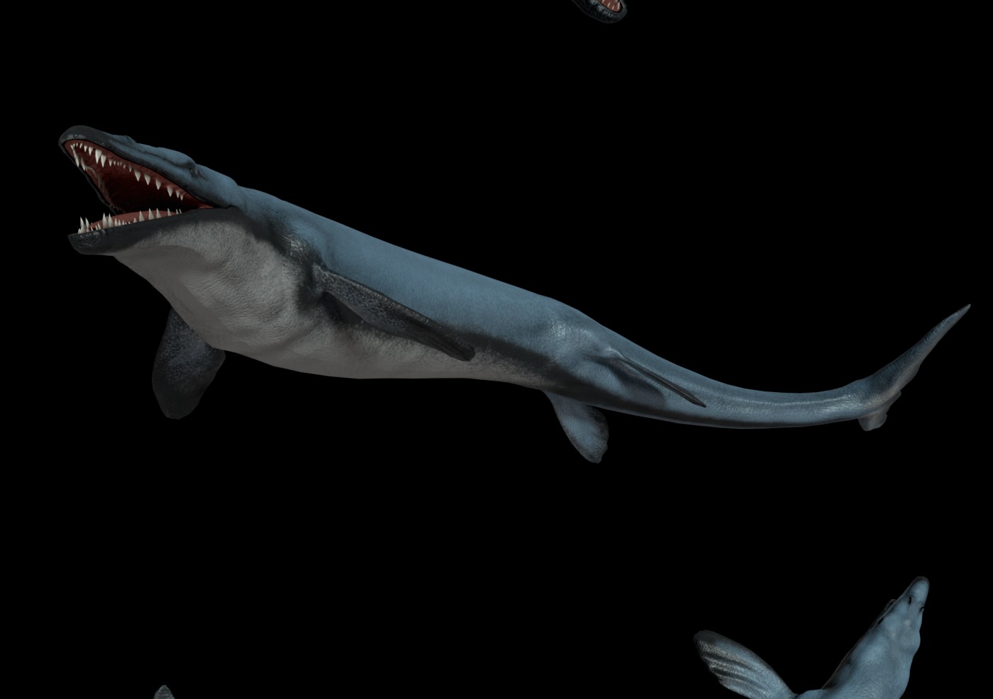 Scoperti sul Gran Sasso resti di Basilosaurus Isis, balena vissuta ...