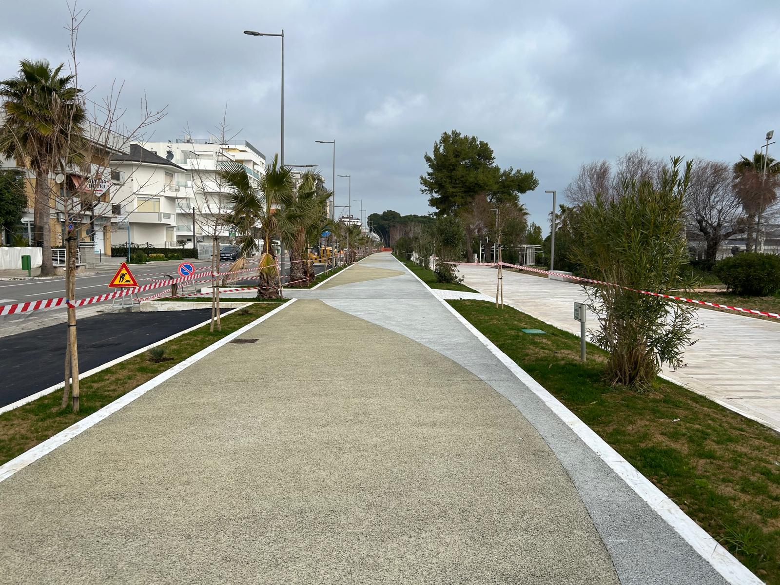 Alba Adriatica, alberi, pineta e metodo: si accende il dibattito sul ...