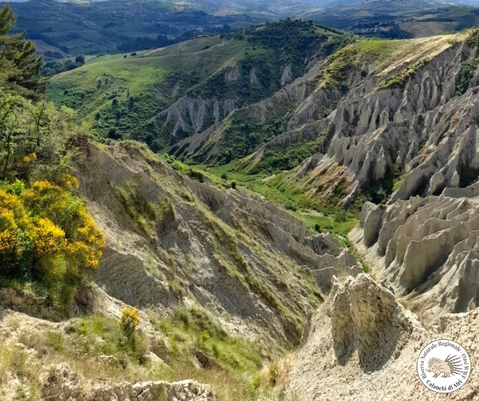 Un nuovo apiario didattico nella Riserva dei Calanchi di Atri - Notizie ...