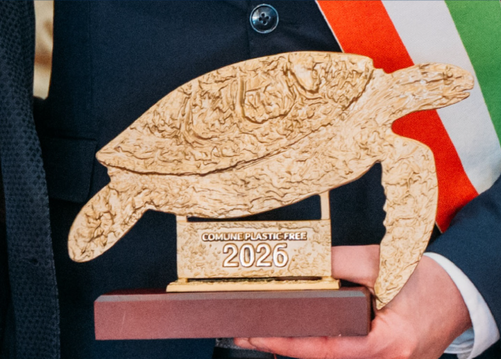 Plastic Free, riconosciute due tartarughe a Roseto - Notizie - NUOVO ...